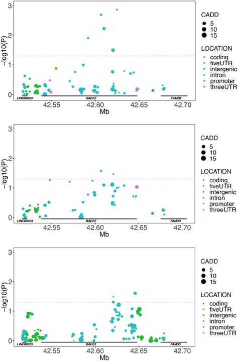 Ad Risk Is Associated With Snps Within The Bace2 Locus In Apoe ε4