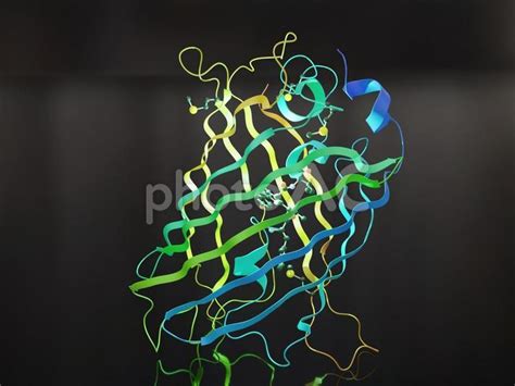 緑色蛍光タンパク質の分子模型 No 29969323写真素材なら写真AC無料フリーダウンロードOK