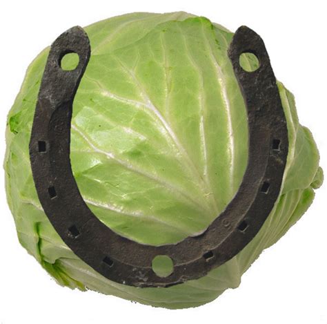 Image 43870 Put Shoe On Head Know Your Meme
