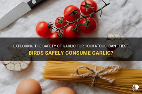 Exploring The Safety Of Garlic For Cockatoos Can These Birds Safely