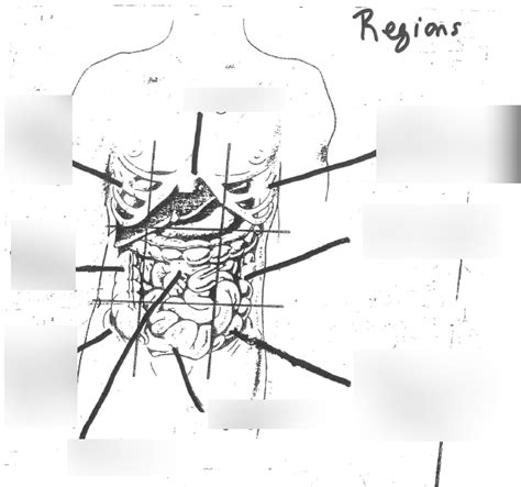 Body Regions Diagram Quizlet