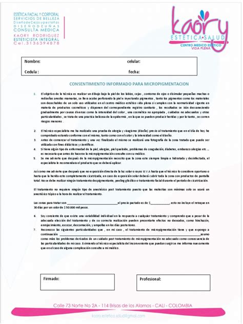 Consentimiento Informado 9643 Pdf Productos Cosméticos Piel