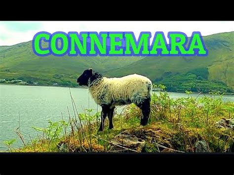 CONNEMARA САМОЕ КРАСИВОЕ МЕСТО В ИРЛАНДИИ/ВОДОПАДЫ/ПЛЯЖ/ЕДА - YouTube