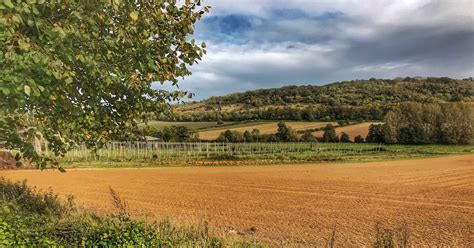 Best Lavender Fields Near London Complete Guide The Flamingo Hiker