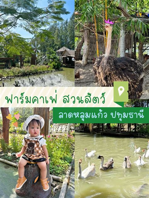 พาลูกเที่ยวฟาร์มคาเฟ่ ‘ปิ่นฟ้าฟาร์ม สนุกมากๆ🩷 วิดีโอที่เผยแพร่โดย