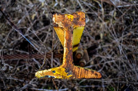 Gallery The Rust Jungle