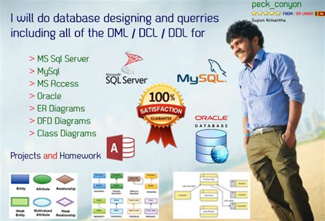 I Will Do Database Design Queries Er Dfd Class Diagrams Protect Your