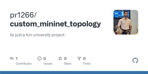 Github Pr1266custommininettopology Its Just A Fun University Project