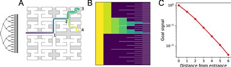 endotaxis a neuromorphic algorithm for mapping goal learning navigation and patrolling elife