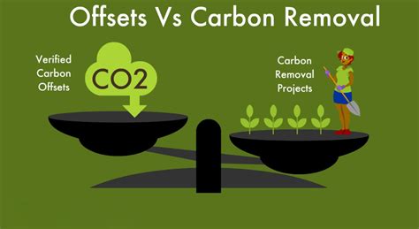 Taking Action For The Planet Why You Should Purchase Carbon Credits