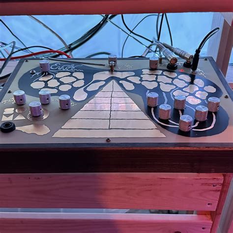 Soma Laboratory Enner Synth Noise Box Experimental Reverb Uk
