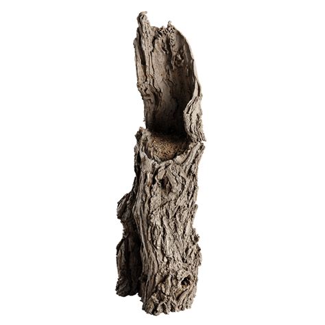 Tree Stump 040 Poliigon