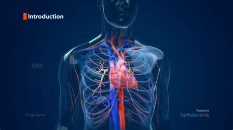 Patient Educational Videos Learn Medical Basic