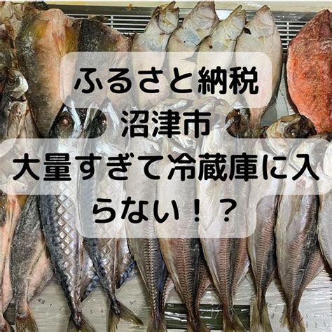 ふるさと納税、大容量の干物のレビューと人気返礼品の紹介
