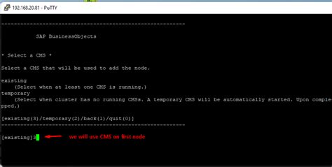 sap business objects on sap hana cluster nvs greenex