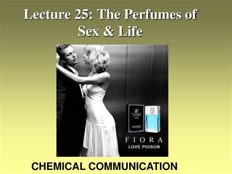 Ppt Lecture 25 The Perfumes Of Sex And Life Powerpoint Presentation