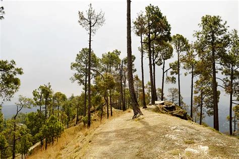 Offbeat Placeshomestayshippie Hill Cranks Ridge Places To Visit Almora