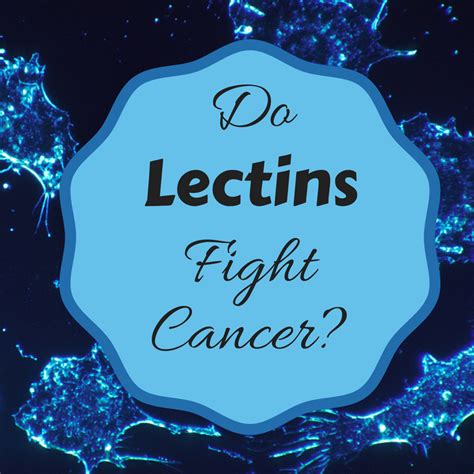 Im Confused Are Lectins Good Or Bad Do They Prevent Cancer Or Cause Health Problems