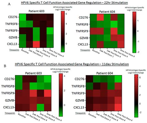 Immune Gene Transcripts Are Differentially Regulated In An Hpv6 Download Scientific Diagram