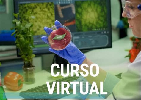 Curso Manipulación De Alimentos 2025 Certem