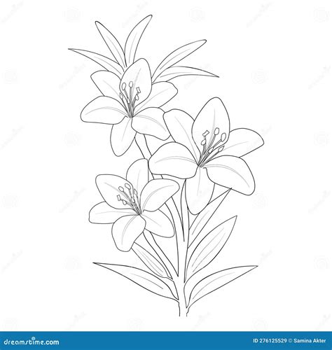 Sketch Lily Flower Drawing Sketch Lily Flower Drawing Tattoo Sketch