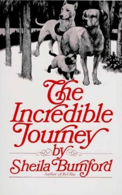 The Incredible Journey by Sheila Burnford | The incredibles, Classic ...