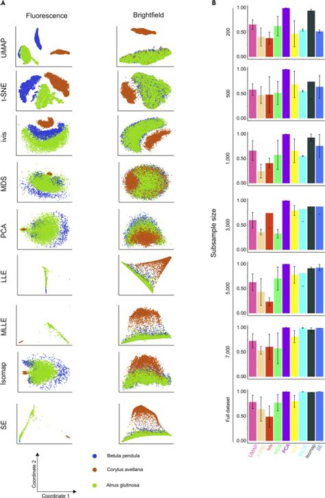 Dimensionality Reduction By UMAP For Visualizing And Aiding In