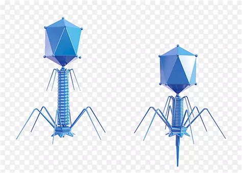 噬菌体生物技术 生物技术png图片素材下载 图片编号520139 Png素材网
