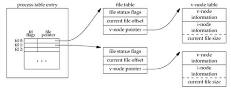 Test 1 Flashcards Quizlet