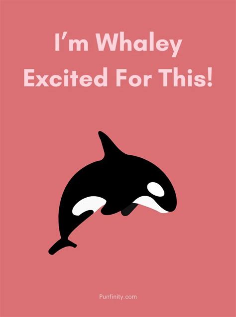 107 Unforgettable Whale Puns That Make A Splash