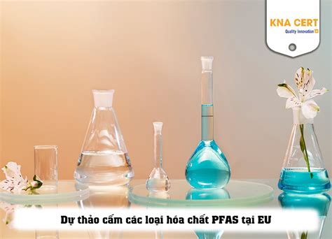 Eu Xem Xét Cấm Các Loại Hóa Chất Vĩnh Cửu Pfas