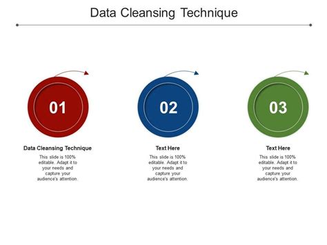 Data Cleansing Technique Ppt Powerpoint Presentation Infographic Template Professional Cpb
