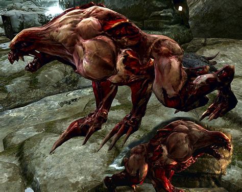 Skyrim Nexus Campgarry