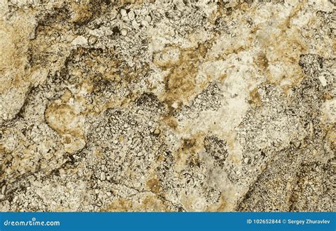 Oolite Wall
