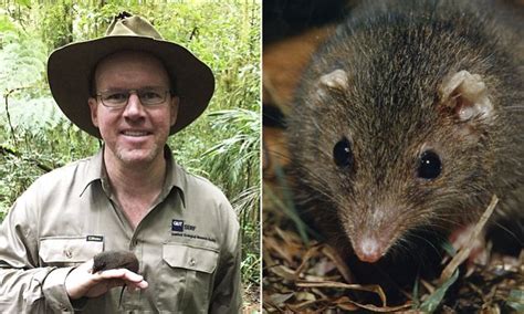 Marsupials At Risk Of Becoming Endangered Because Of Too Much Sex