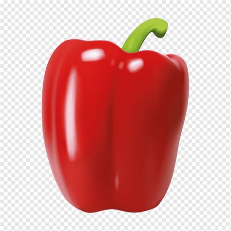 칠리 페퍼 카이엔 페퍼 빨간 피망 파프리카 준 고추 Natural Foods Food Nightshade 가족 Png Pngwing