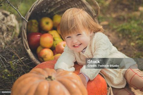 화이트 아이 보 리 색 스웨터를 입고 금발 빨간 머리와 가까운 초상화 아가 즐길 인생 바구니 Ped 침대 신선한 노란색 빨간색 사과 봄이 호박 행복 한 미소 가득한 시간