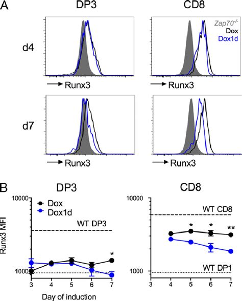 tcr signaling controls runx3 protein expression tetzap70 mice were fed