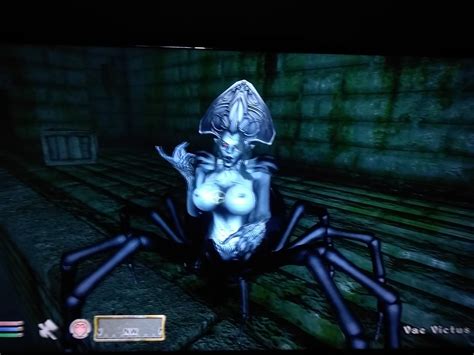 Bbb Idea Apply It To The Nude Spider Daedra Mod Request And Find
