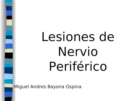 PPT Nervio Periferico DOKUMEN TIPS