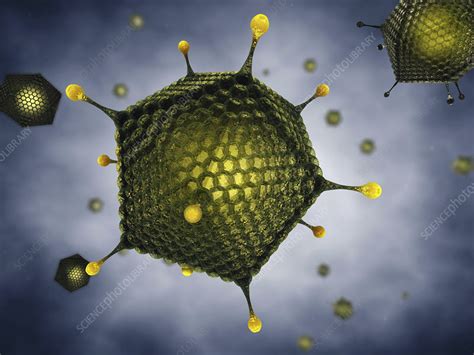Adenovirus Illustration Stock Image F0251099 Science Photo Library
