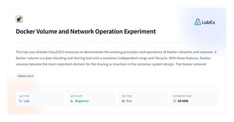 Docker Volume And Network Operation Experiment Labex