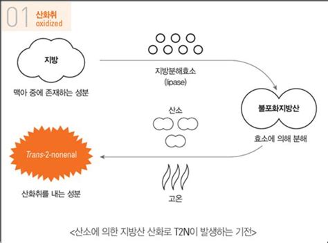 맥주는 직사광선 피해서 생탁주는 세워서 냉장보관 통합뉴스