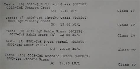 Wheat Allergy Due To Cross Reactivity With Grass Pollen