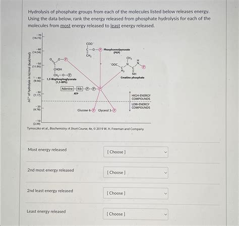 Solved Hydrolysis Of Phosphate Groups From Each Of The