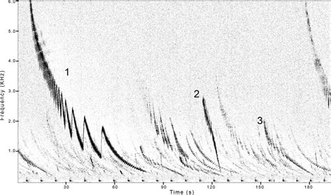 Spectrogram Fft Size 8192 Points Hann Window Of Bearded Seal
