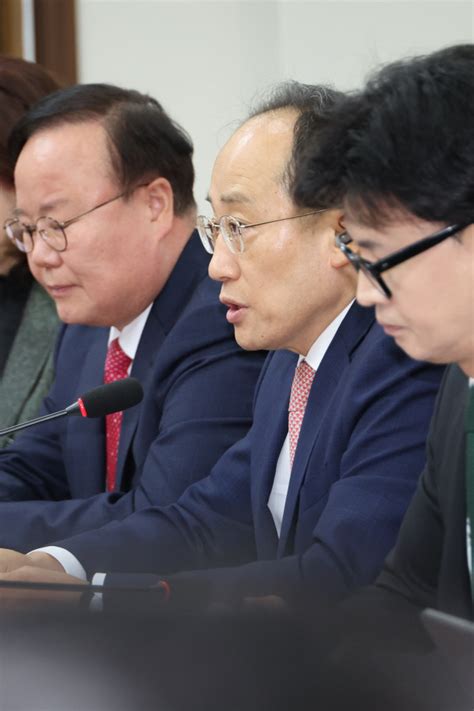 추경호 野 김 여사 특검법 강행시 재의요구권 건의하겠다