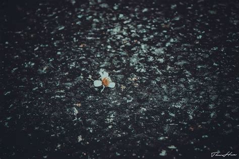 Likes Comments Thanh Th Thanh Thu On Instagram The Moment When You