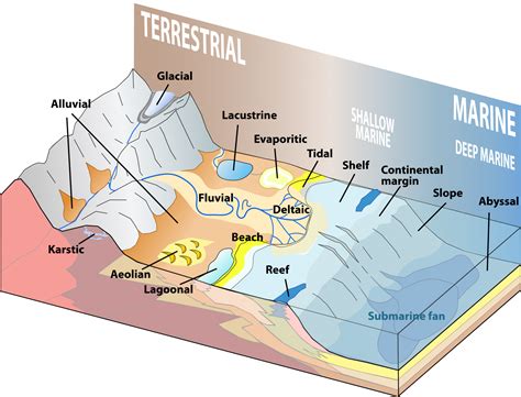 9 4 Depositional Environments And Sedimentary Basins Physical Geology