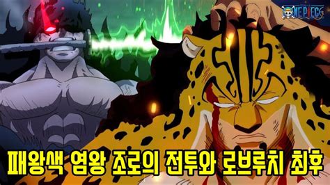 원피스 전투예측 분노폭발 염왕 조로 패왕색 류오 최강기술과 동물계 각성 능력자 로브루치 최후 Youtube